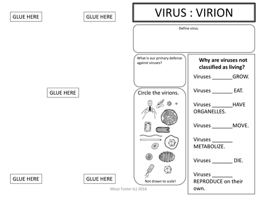 Virus Graphic Organizer Foldable | Teaching Resources