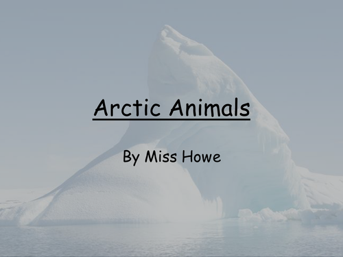 Arctic Animals | Teaching Resources