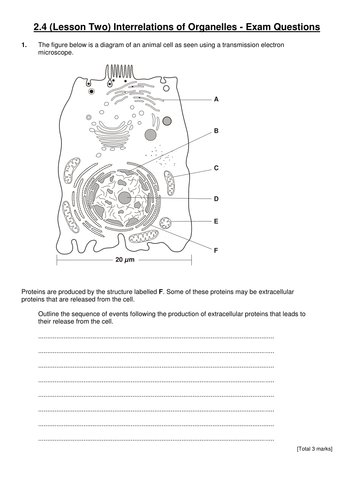 NEW OCR A Level Biology - Cell Structure by HenrikHanson - Teaching ... NEW OCR A Level Biology - Cell Structure by HenrikHanson - Teaching ...