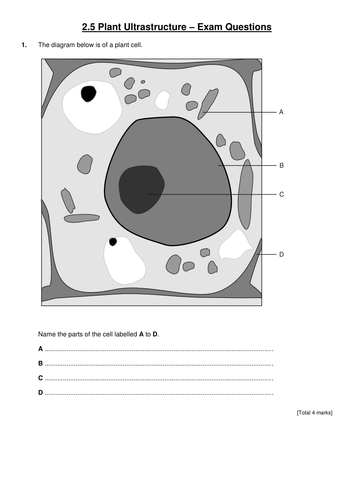 NEW OCR A Level Biology - Cell Structure | Teaching Resources NEW OCR A Level Biology - Cell Structure | Teaching Resources