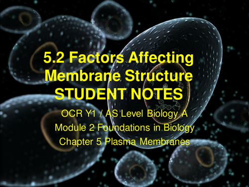 NEW OCR A Level Biology - Plasma Membranes | Teaching Resources