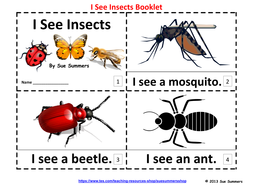 Insects 2 Emergent Reader Booklets | Teaching Resources
