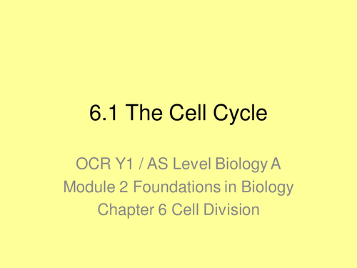 NEW OCR A Level Biology - Cell Division | Teaching Resources