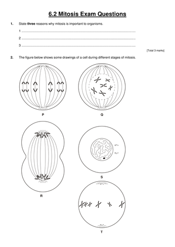 NEW OCR A Level Biology - Cell Division | Teaching Resources NEW OCR A Level Biology - Cell Division | Teaching Resources