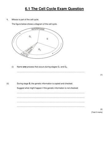 NEW OCR A Level Biology - Cell Division | Teaching Resources