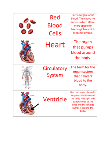 Circulation card sort | Teaching Resources