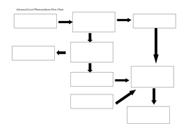 Photosynthesis (Advanced Level) Flow Chart Worksheet | Teaching Resources