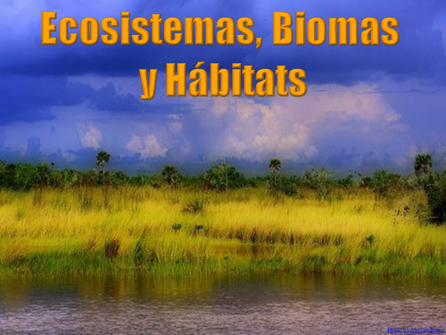 Ecosistemas, Biomas, y Hábitats - PowerPoint | Teaching Resources