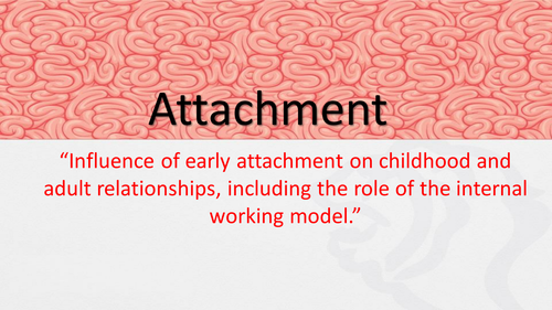 Lesson 10: Influence of Early Attachment on Later Relationships ...