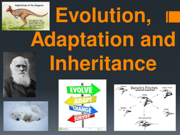 Presentations and Planning for Evolution, Adaptation and Inheritance ...