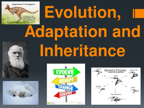Presentations and Planning for Evolution, Adaptation and Inheritance ...
