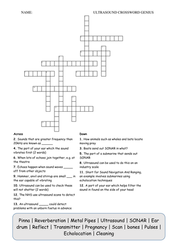 Ultrasound lesson, based on bats, perfect for KS3 by Imogenrhenderson ...