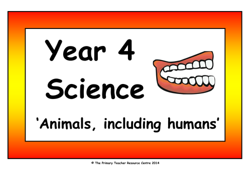 Year 1 - 6 Science Vocabulary Pack | Teaching Resources
