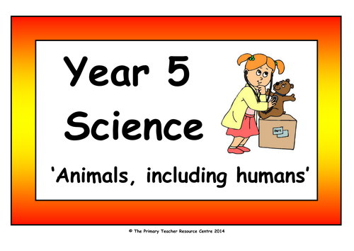 Year 1 - 6 Science Vocabulary Pack | Teaching Resources