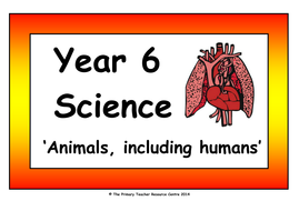 Year 6 Science Vocabulary Cards | Teaching Resources