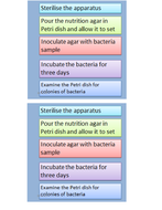 KS3/Microbes | Teaching Resources