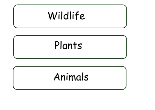 World Wildlife Day Pack/Bundle KS2 | Teaching Resources