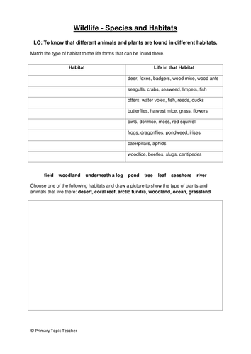 World Wildlife Day Pack/Bundle KS2 | Teaching Resources