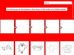 Food Chain Cut, Color and Paste Activity | Teaching Resources