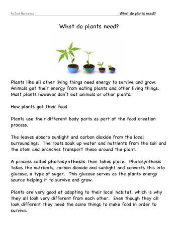 4 Rainforest and Plants Comprehension Texts and Questions | Teaching ...