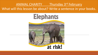 Persuasive Writing - Animal Charity | Teaching Resources