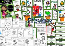 Plants Mini Starter Pack (Unit of Work- EYFS/KS1) | Teaching Resources