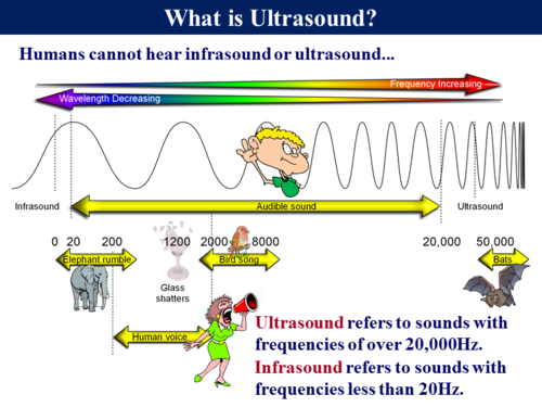 3.1.2 Ultrasound | Teaching Resources