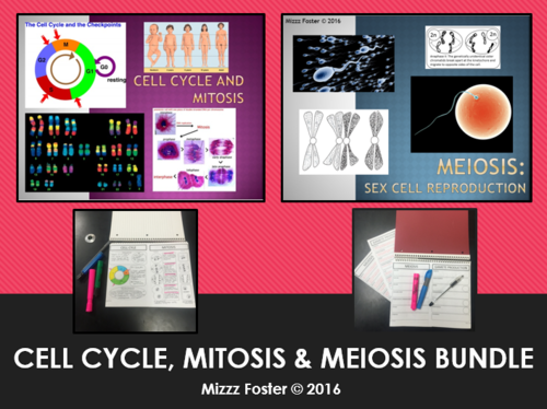 Cell Cycle, Mitosis & Meiosis Big Bundle: 2 ppt and 2 graphic ...