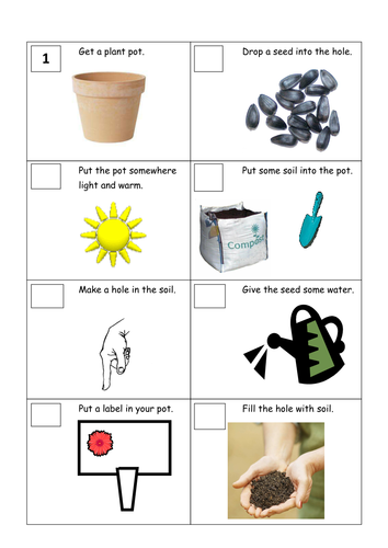 Plants - Growing Green Plants Key Stage 1 Resource Pack | Teaching ...