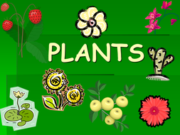 Plants - Growing Green Plants Key Stage 1 Resource Pack | Teaching ...