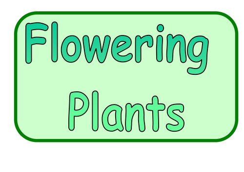 Plants - Growing Green Plants Key Stage 1 Resource Pack | Teaching ...