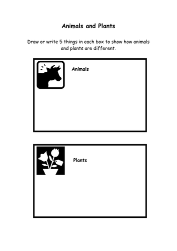 Plants - Growing Green Plants Key Stage 1 Resource Pack | Teaching ...