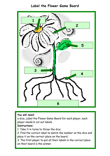 Plants - Growing Green Plants Key Stage 1 Resource Pack | Teaching ...