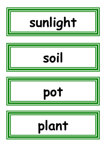 Plants - Growing Green Plants Key Stage 1 Resource Pack | Teaching ...