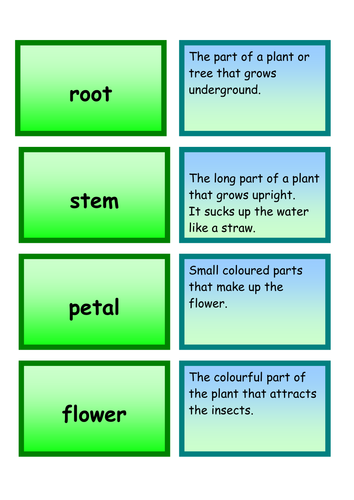 Plants - Growing Green Plants Key Stage 1 Resource Pack | Teaching ...