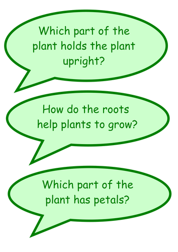 Plants - Growing Green Plants Key Stage 1 Resource Pack | Teaching ...