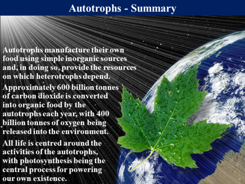 BioA_3.5.1 Autotrophs & Heterotrophs | Teaching Resources