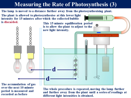 BioA_3.5.1 Photosynthesis - Experimental Evidence | Teaching Resources