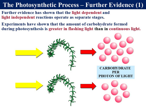 BioA_3.5.1 Photosynthesis - Experimental Evidence | Teaching Resources