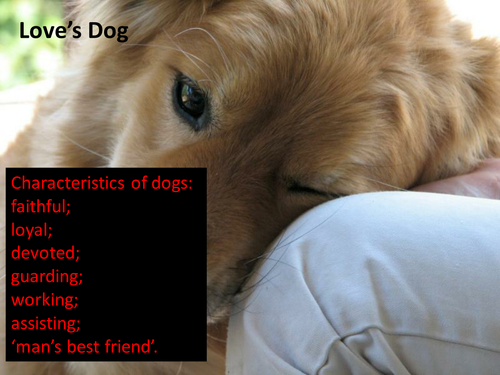 Edexcel Literature Poetry (Relationships) - 'Love's Dog' by Jen ...