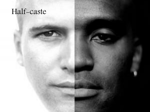 Edexcel Literature Poetry (Conflict) - 'Half=caste' by John Agard ...