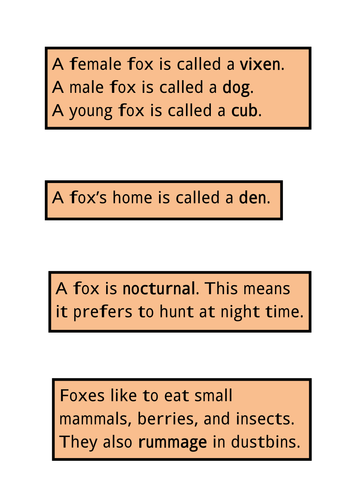 Rosie's Walk Resource Pack | Teaching Resources