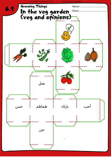 Arabic Worksheets - Sentence Building Dice | Teaching Resources