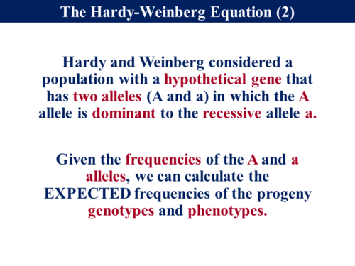 BioA_3.7.2 Population Genetics - Hardy Weinberg | Teaching Resources