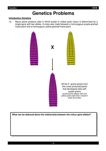 BioA_3.7.1 Genetics - Workbook & Answers | Teaching Resources