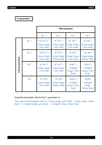 BioA_3.7.1 Genetics - Workbook & Answers | Teaching Resources