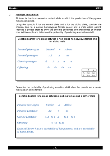 BioA_3.7.1 Genetics - Workbook & Answers | Teaching Resources