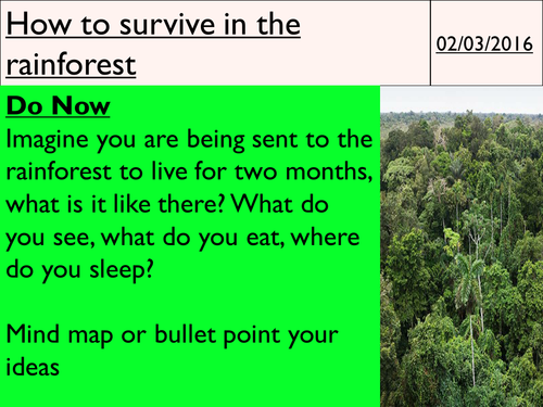 Rainforests | Teaching Resources