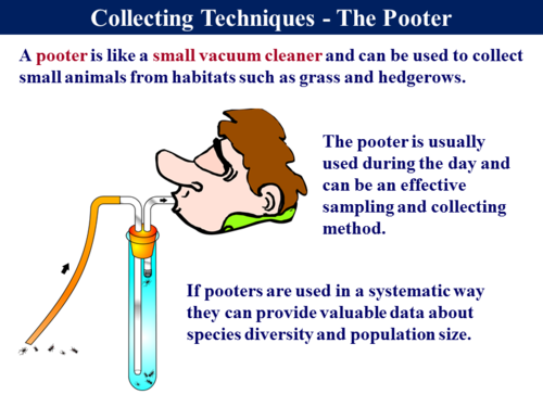 BioA_3.7.4 Ecology 2 - Ecological Techniques | Teaching Resources