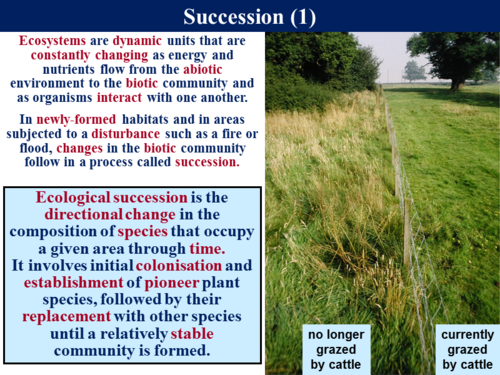 BioA_3.7.4 Ecology 4 - Succession | Teaching Resources